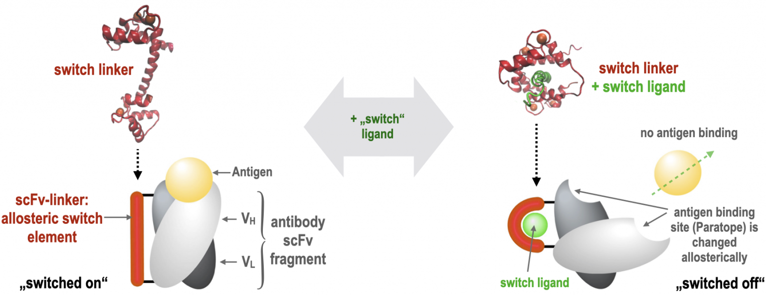 Technology – Mabswitch